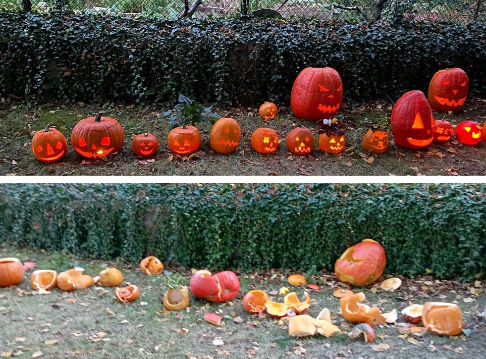 Qassis Ċek jiskuża ruħu talli kisser qargħa aħmar tal-Halloween ...
