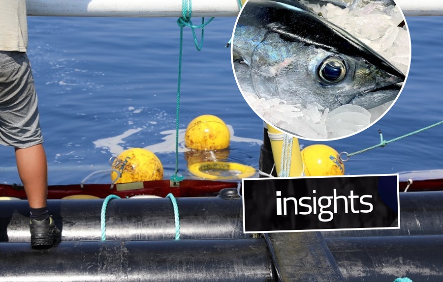 50kg of slime from tuna feeding collected daily at sea - TVMnews.mt