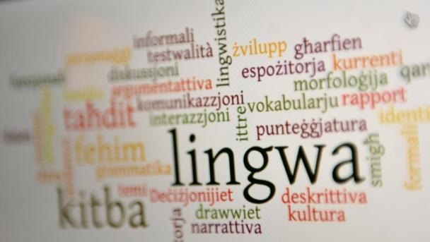 97% iqisu l-Malti bħala l-lingwa ewlenija li jikkomunikaw biha - TVMnews.mt