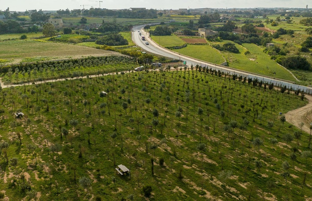 Project Green tirriġenera 40,000 metru kwadru ta' art fl-ewwel sena ...