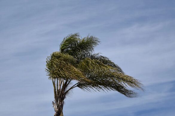 Force 8 strong wind warning in exposed areas - TVMnews.mt