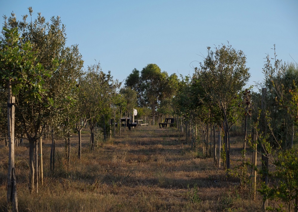 Project Green will increase green spaces - mainly in the South of Malta ...