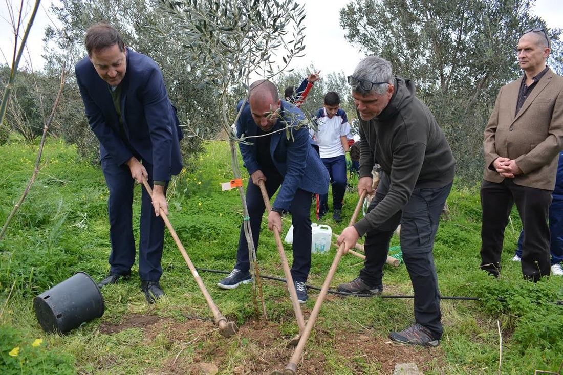Indigenous trees planted as part of sports complex project - TVMnews.mt