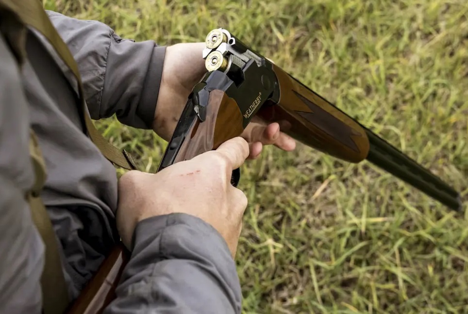 Man lands 20 months in prison and €7,000 fine after accidentally ...