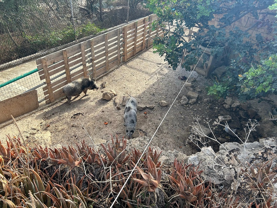 Il-Partit Popolari jappella biex santwarju tal-annimali ma jagħlaqx ...