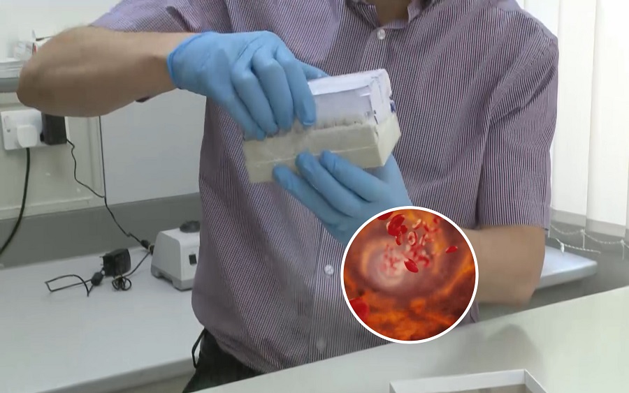 Maltese scientists make discovery on blood oxygen - TVMnews.mt