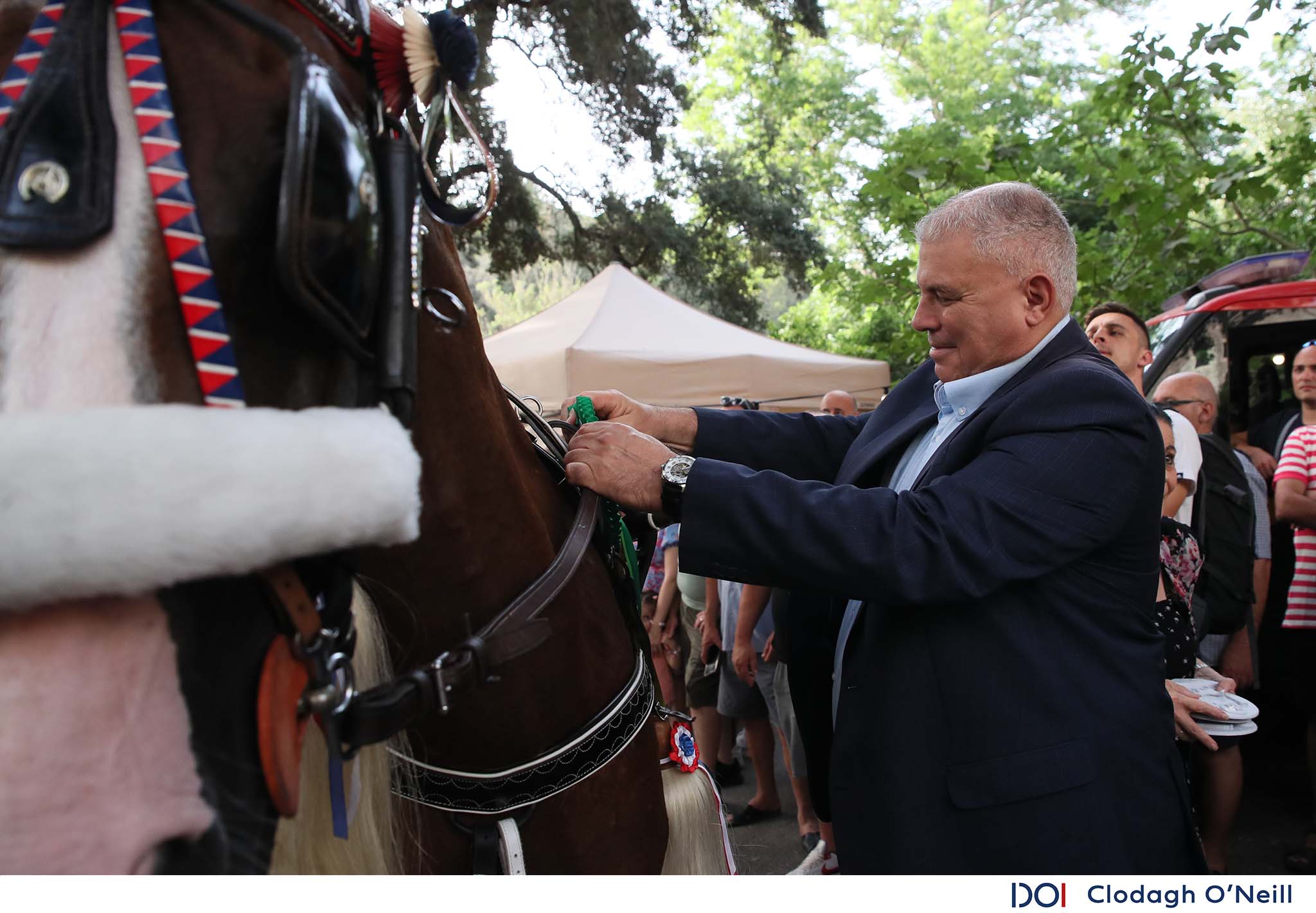 Imnarja feast activities kick off in Buskett - TVMnews.mt