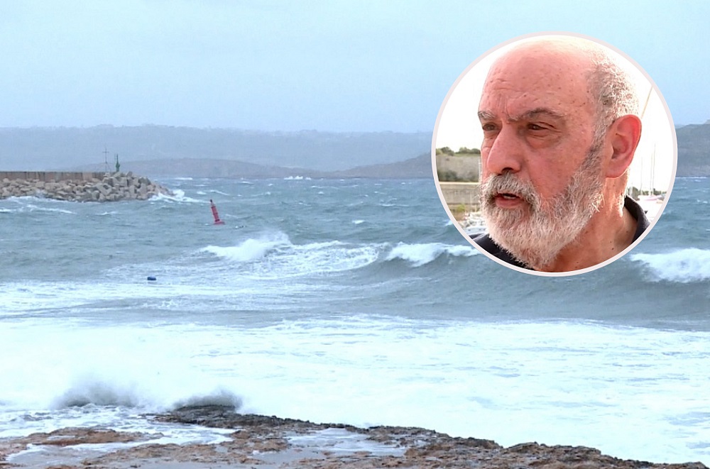 "Storm Harry has had a positive impact on the maritime ecosystem ...