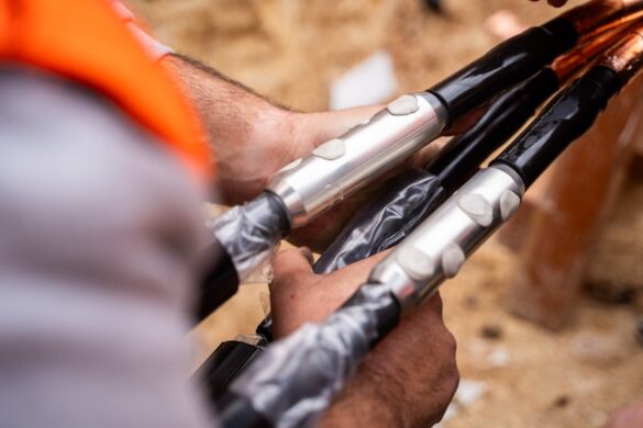 Enemalta u Animal Welfare jingħaqdu mal-Freephone Servizz.gov 153 ...