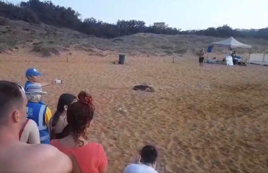 Fekruna tbid fir-Ramla l-Ħamra - is-6 bejta tal-fkieren dan l-istaġun ...
