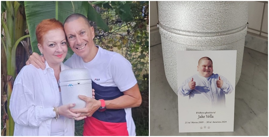 "Jake with us forever with no pain" - TVMnews.mt