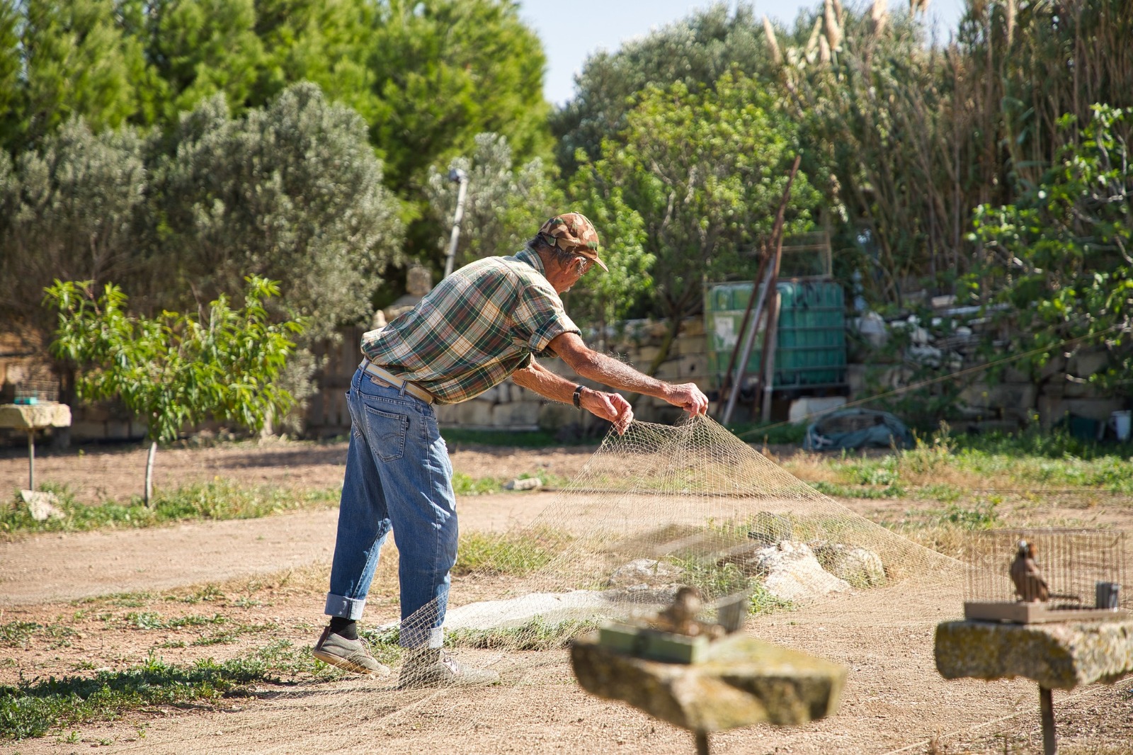 L-istaġun tal-insib għall-malvizz u l-pluviera jiftaħ il-Ħadd, taħt ...