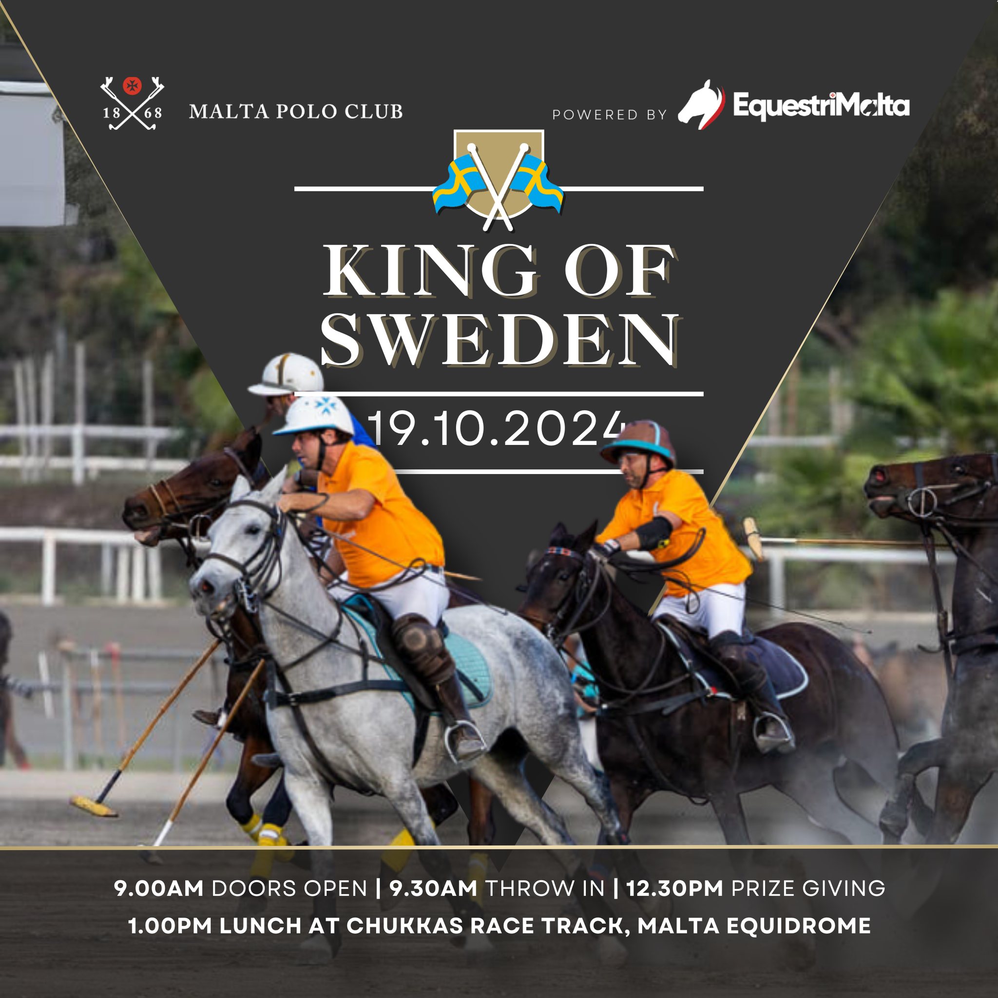 L-istaġun tal-Polo jiftaħ bil-King of Sweden Cup - TVMnews.mt