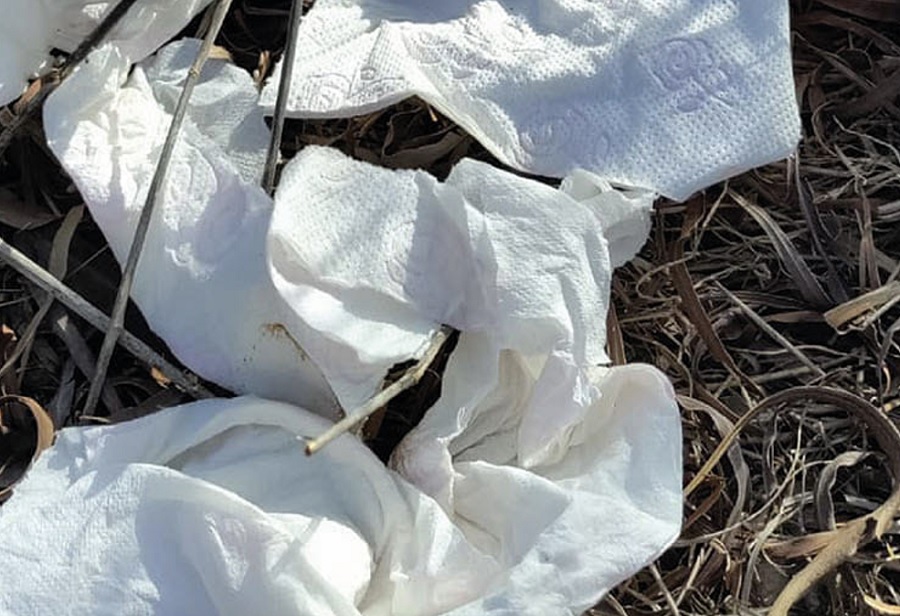 Malta Ranger Unit: €150 fine for discarding wipes and tissues in the ...