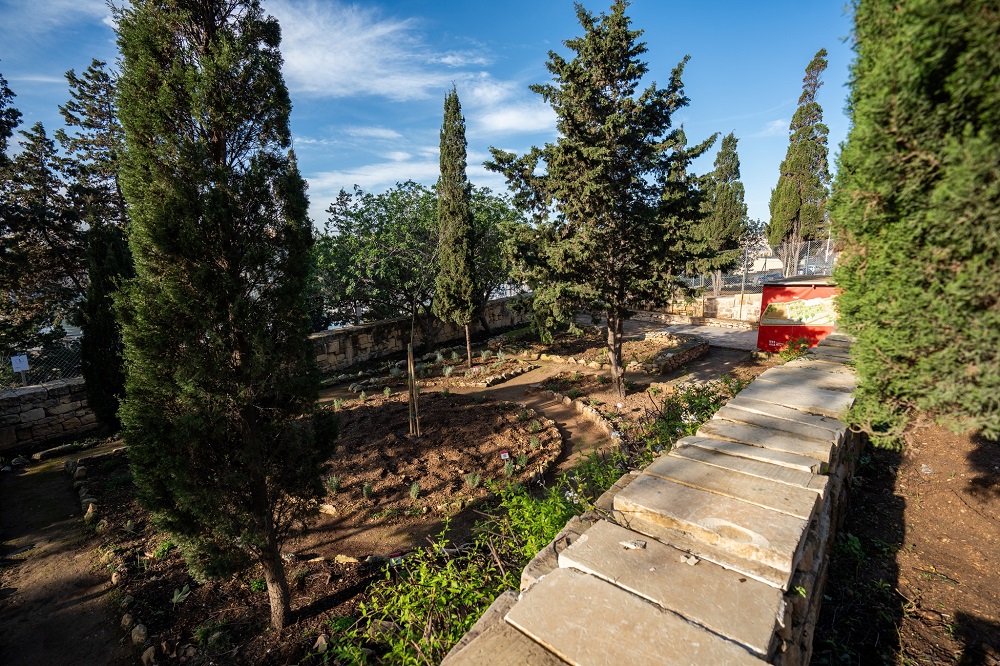 Il-ġonna ta' Villa Portelli riġenerati minn Project Green u Heritage ...