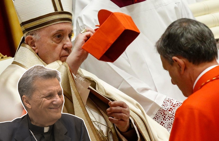 Watch: On the road to Papacy? Cardinal Mario Grech responds - TVMnews.mt