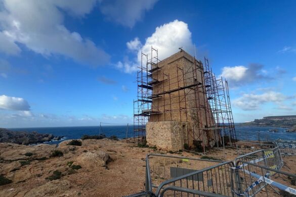 Ħajja ġdida għall-bijodiversità Maltija fil-qalba ta' Għajn Tuffieħa ...