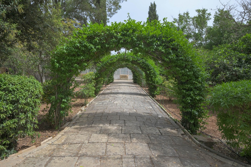 Erbatax-il offerta għar-riġenerazzjoni ta' Sant'Anton - TVMnews.mt