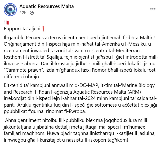 Alien shrimp originating from U.S. waters spotted for the first time in ...