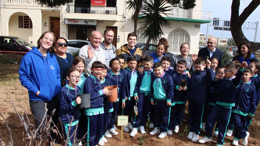 Luqa students plant three indigenous trees donated by BirdLife Malta ...
