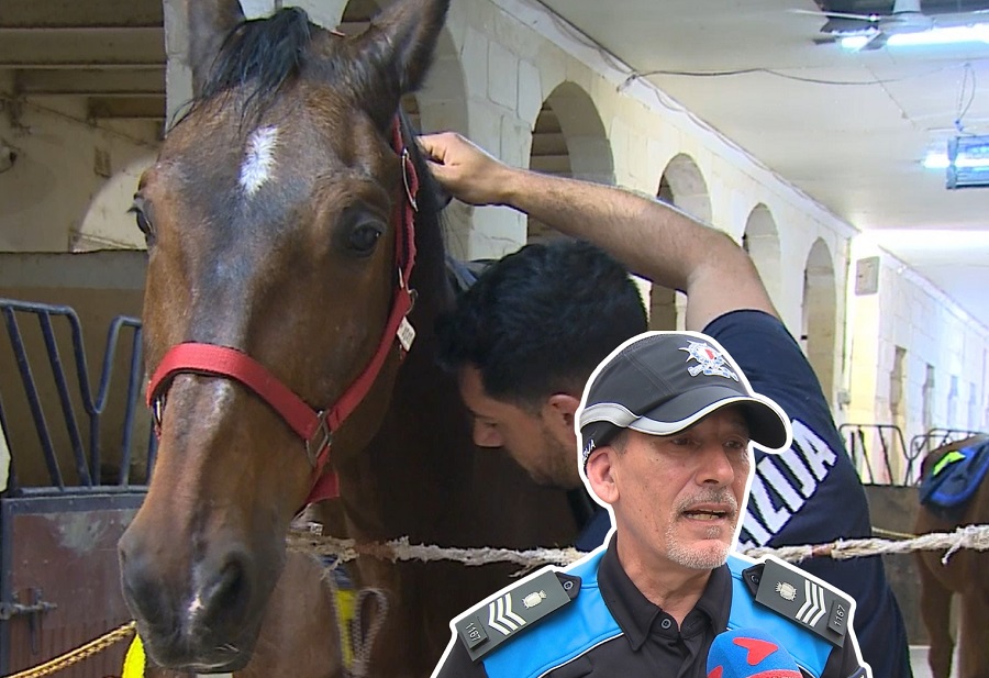 "Għafsa ta' qalb tara żewġ kollegi jitilqu" - jirtiraw 2 iżwiemel mill ...