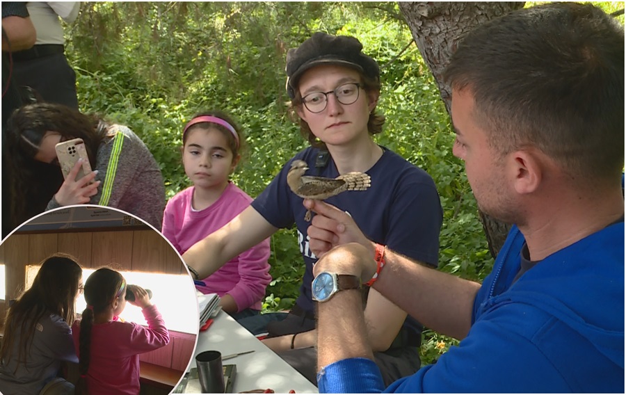 Familji u turisti jitilgħu l-Għadira biex jaraw it-twaħħil ta' ċrieket ...