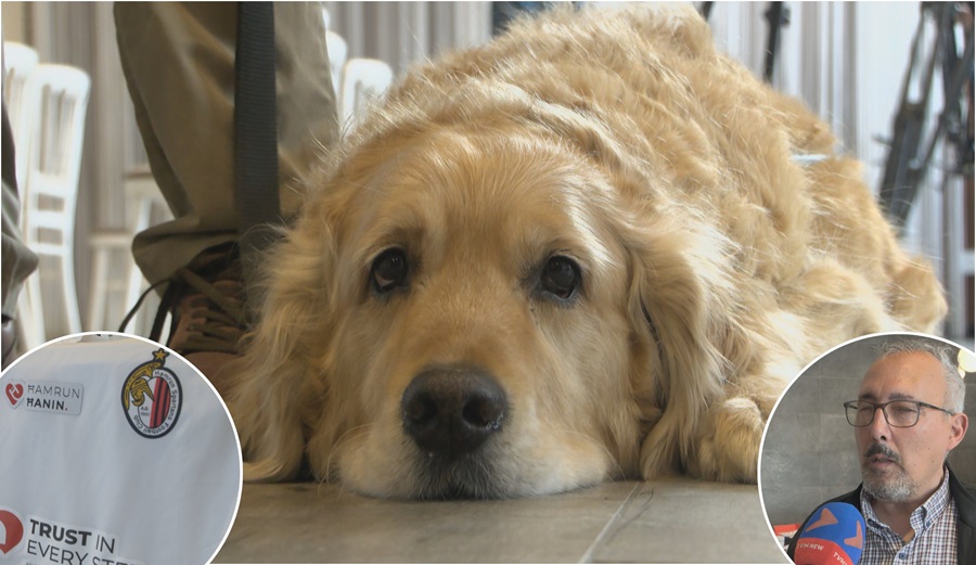 "Għajnejja, xogħlu l-kelb li jevitali l-ostakli li ma narax" - Ħamrun ...