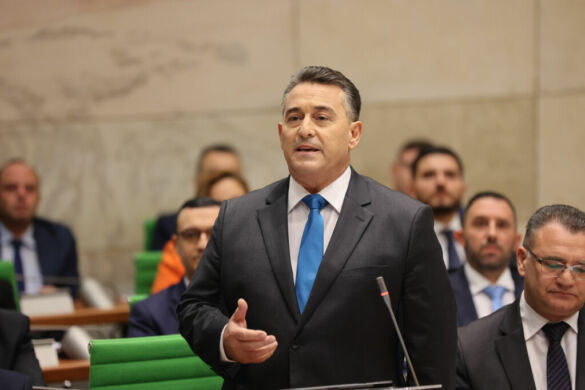 Bernard Grech resigns as Nationalist Party leader - TVMnews.mt