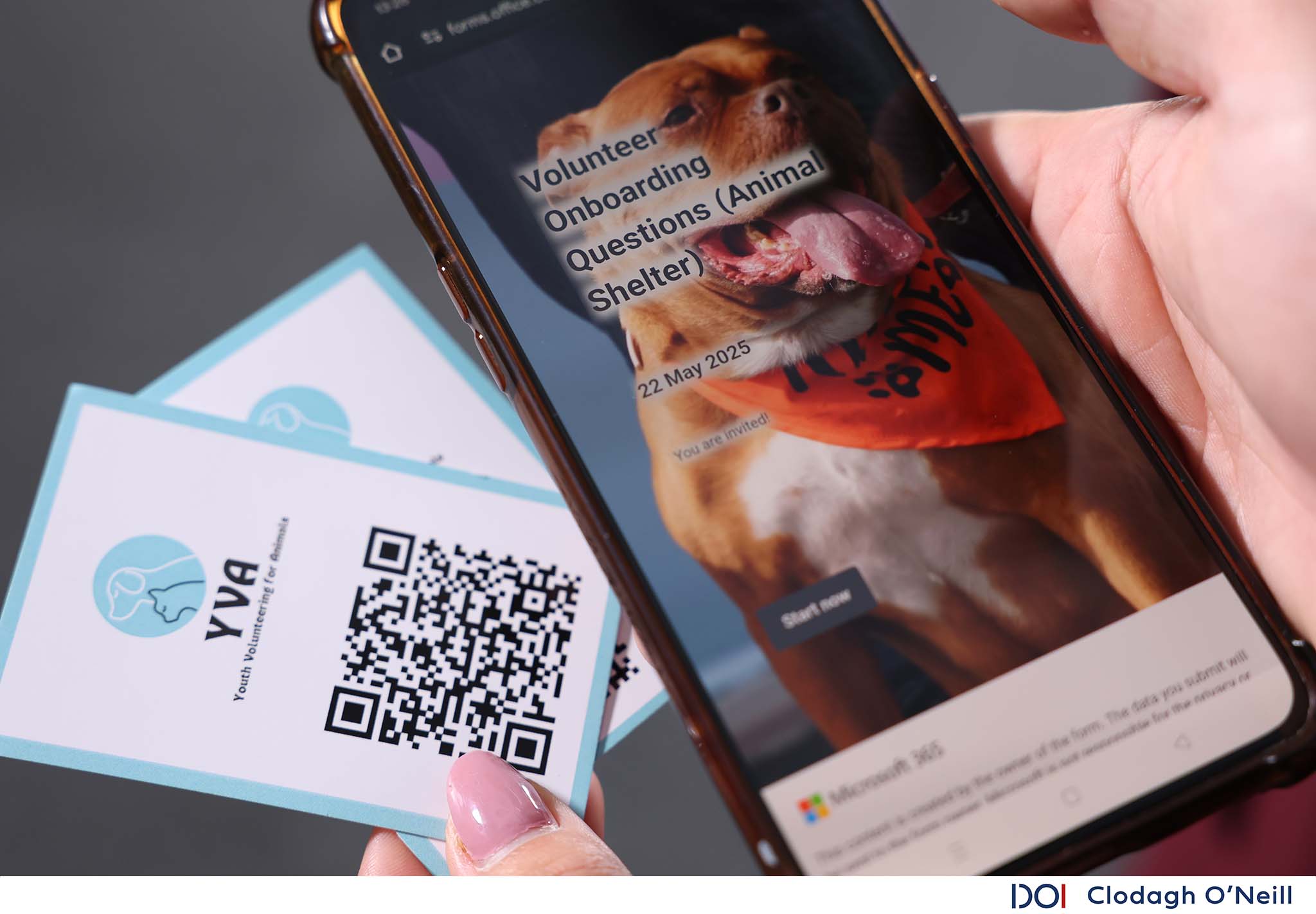 Youth Volunteering for Animals programme launched - TVMnews.mt