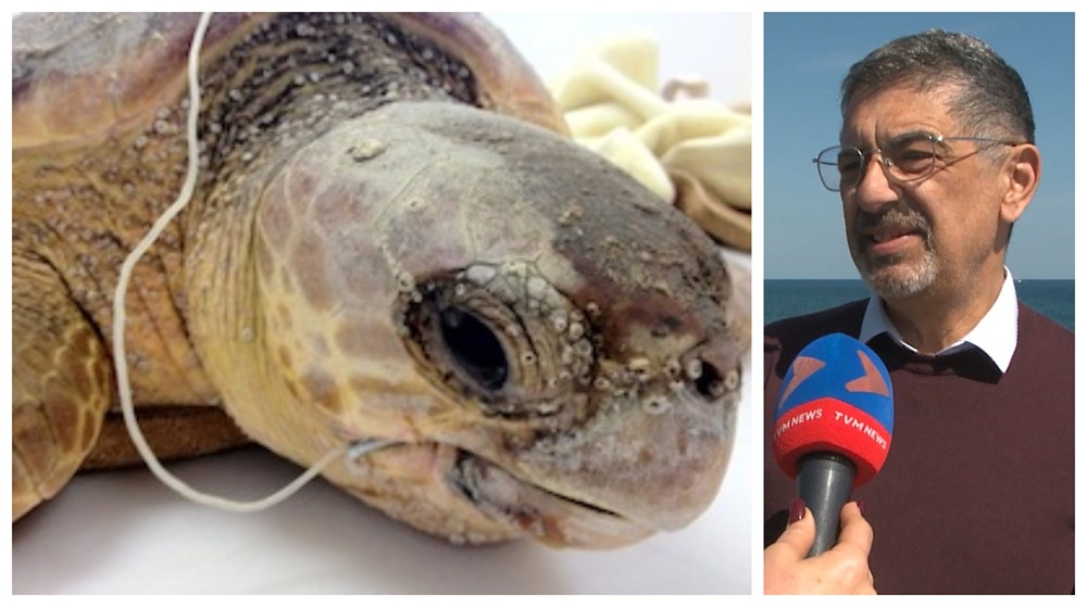 Jekk issib fekruna li belgħet sunnara tipprovax taqlagħha - TVMnews.mt