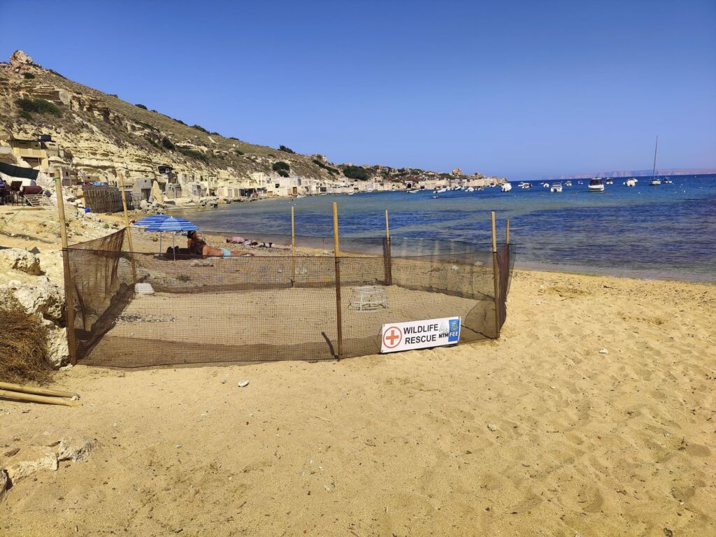 Jibda l-istaġun tal-fkieren: Fekruna tal-Baħar tbid fil-Ġnejna - TVMnews.mt