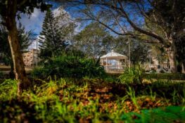 Imut it-Tabib Paul Chetcuti Caruana, fil-mira ta' bomba fl-istrajk tal ...