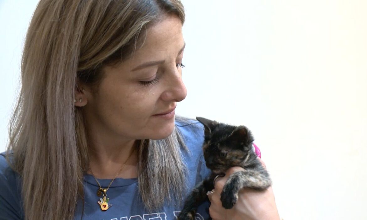 "L-abbandun l-ikbar problema" - tgħix ma' 30 kelb u qattus li salvat ...