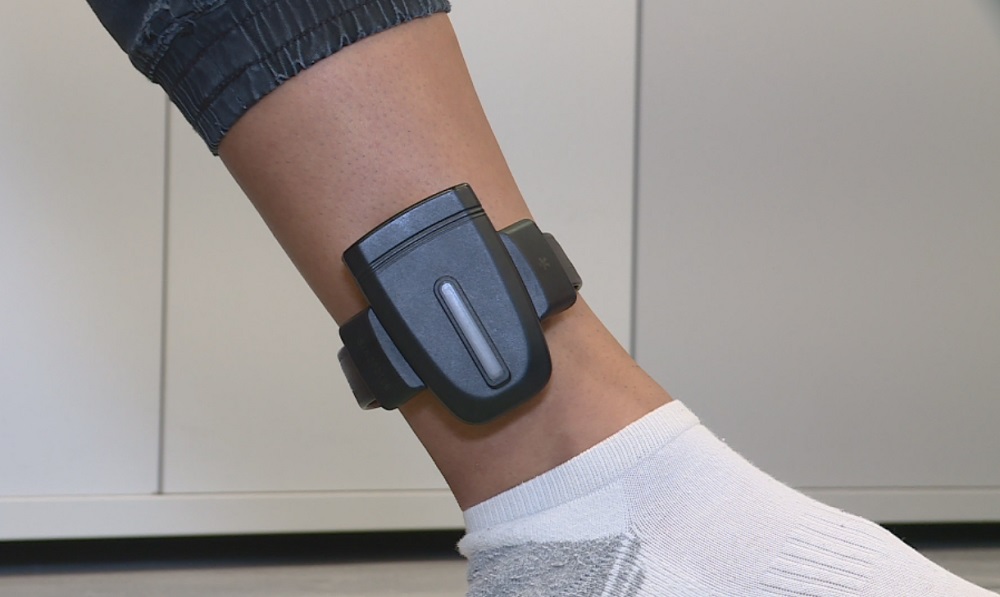 WATCH: final preparation for the introduction of electronic tagging on ...