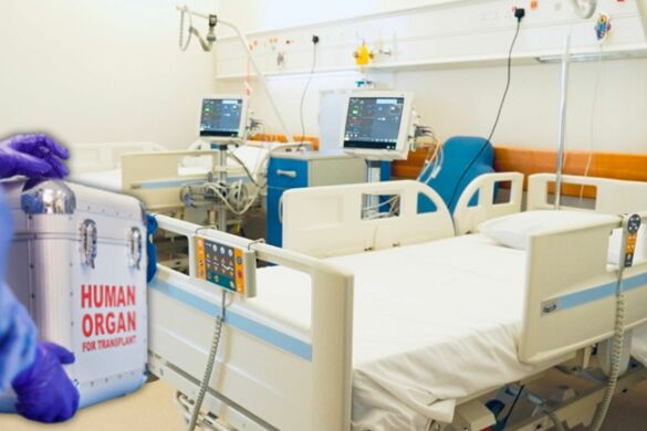 rispons Archives - TVMnews.mt