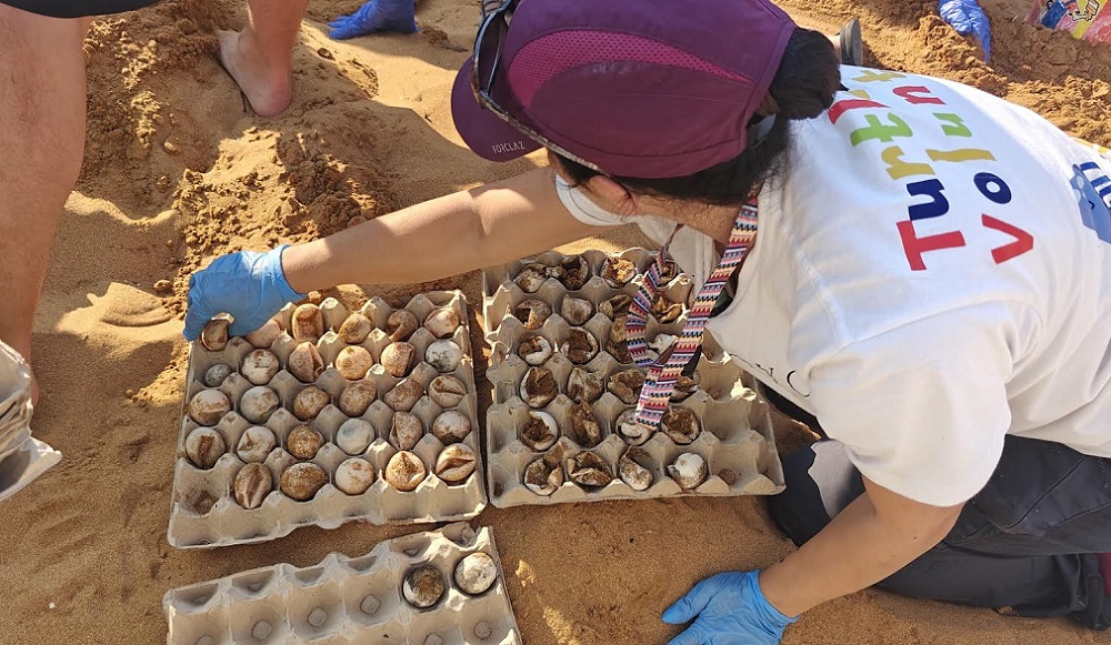 26 fekruna jfaqqsu mit-tielet bejta fir-Ramla l-Ħamra - TVMnews.mt