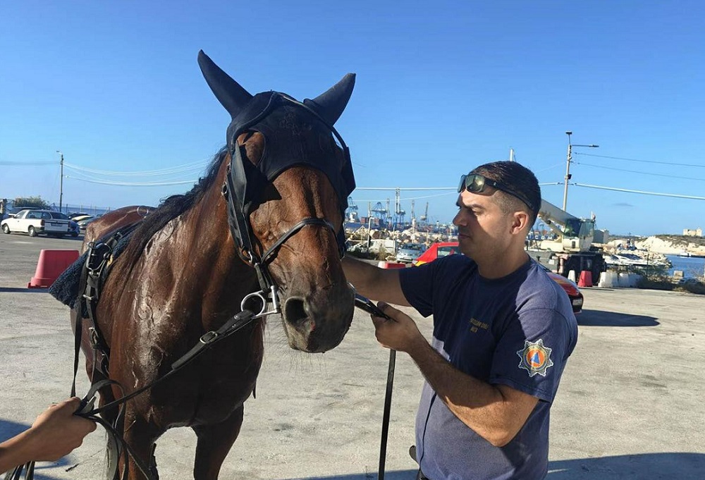 Raġel fuq serkin iweġġa' wara li waqa' f'ħabta ma' vann - TVMnews.mt
