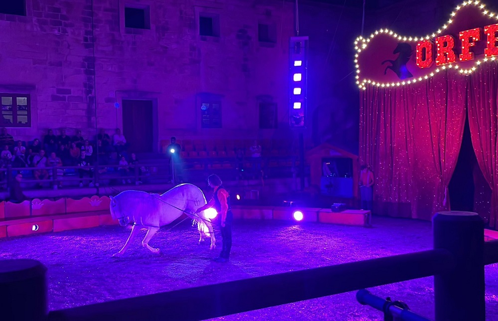 Il-Gvern jirrevoka l-permess dwar użu illegali ta' żwiemel f'ċirku ...