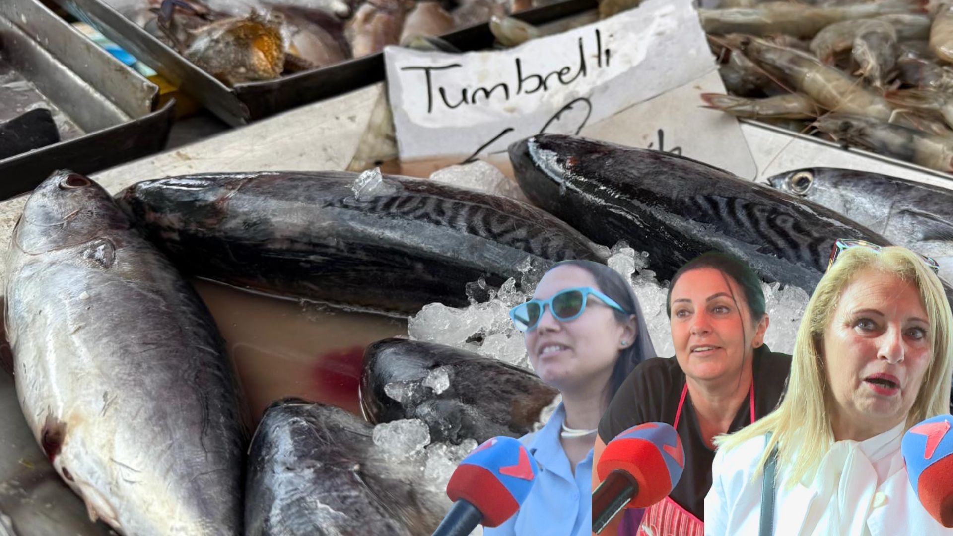 Ġieli kilt sawrell, kubrit u aċċjol? - għarfien dwar ħut lokali li mhux ...