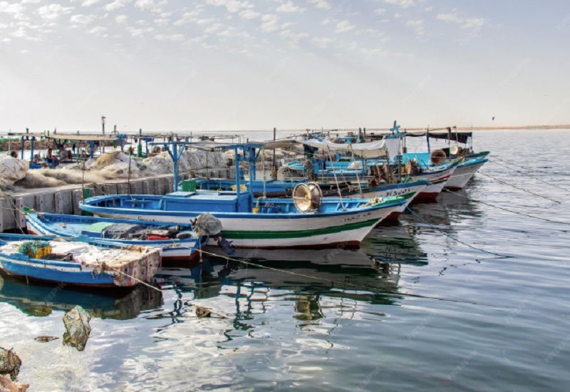 Action against 21 vessels caught fishing for lampuki during closed ...