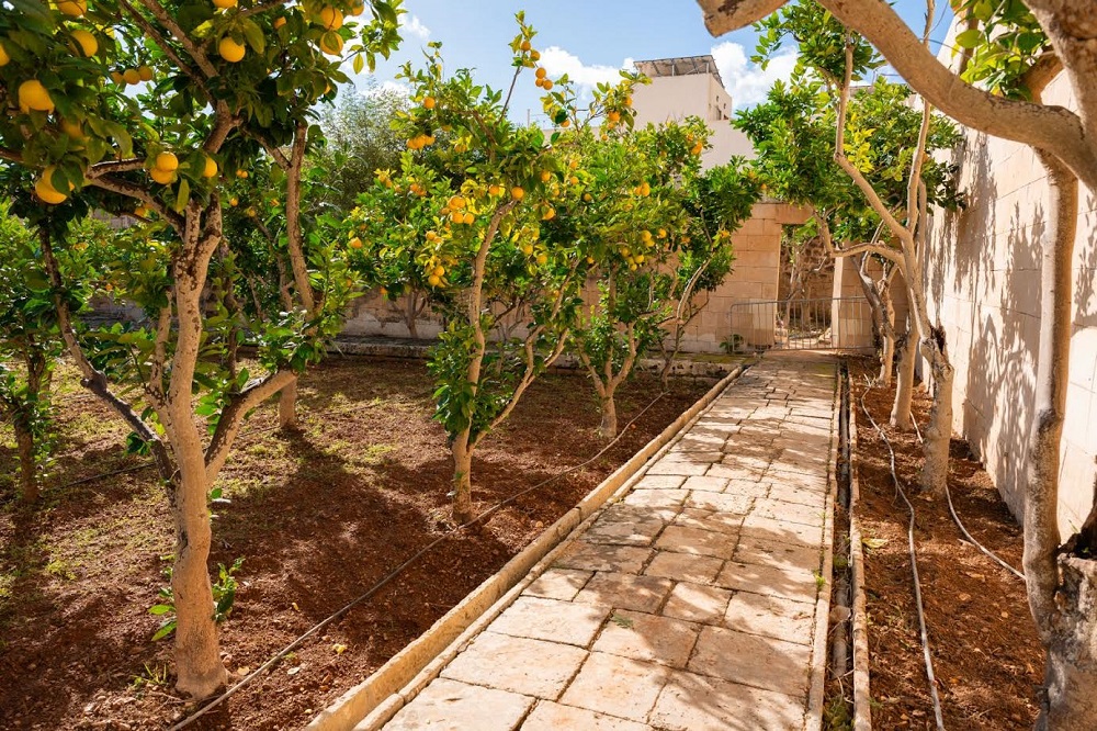The Ġnien tal-Kmand in Qrendi: A historic garden brought back to life ...