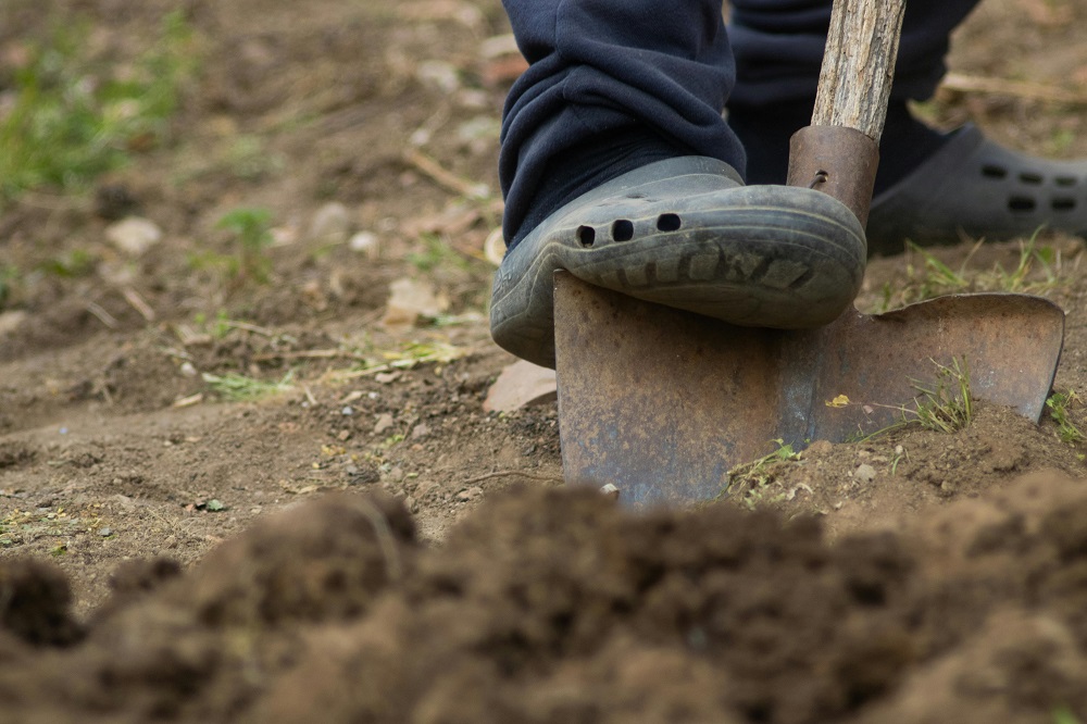 Abandoned land to be included in schemes for use by farmers - TVMnews.mt