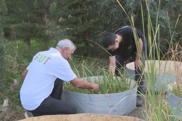 Żerriegħa b'xejn biex tkabbar pjanti għad-dakkara - TVMnews.mt