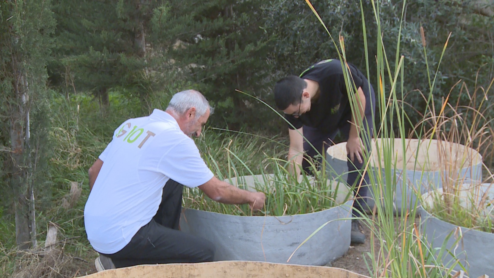 Restoring Malta’s native flora: How Grow 10 Trees is rebuilding fragile ...