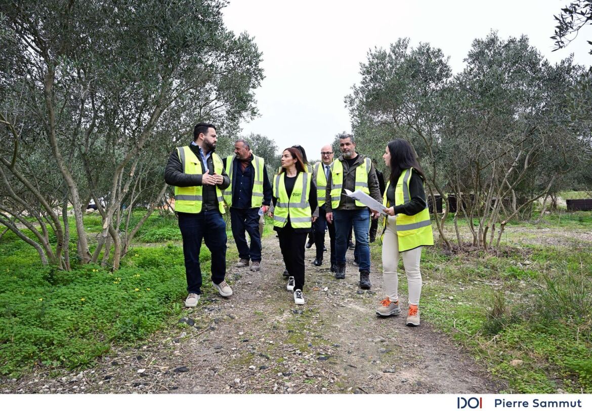 Project Green b'ħidma fuq żona ġdida għall-familji - TVMnews.mt