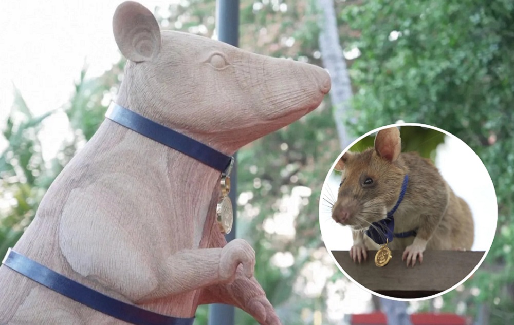 Cambodia erects statue to mine-detecting rat - TVMnews.mt