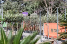 Remanded in custody after allegedly threatening parents to give him ...