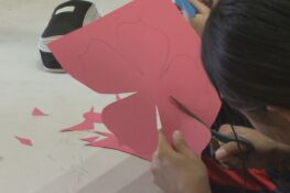 AFM to invest €50 million in new plane and helicopter for delivery next ...