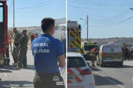 Canary Islands President refuses entry to ship linked to hantavirus ...