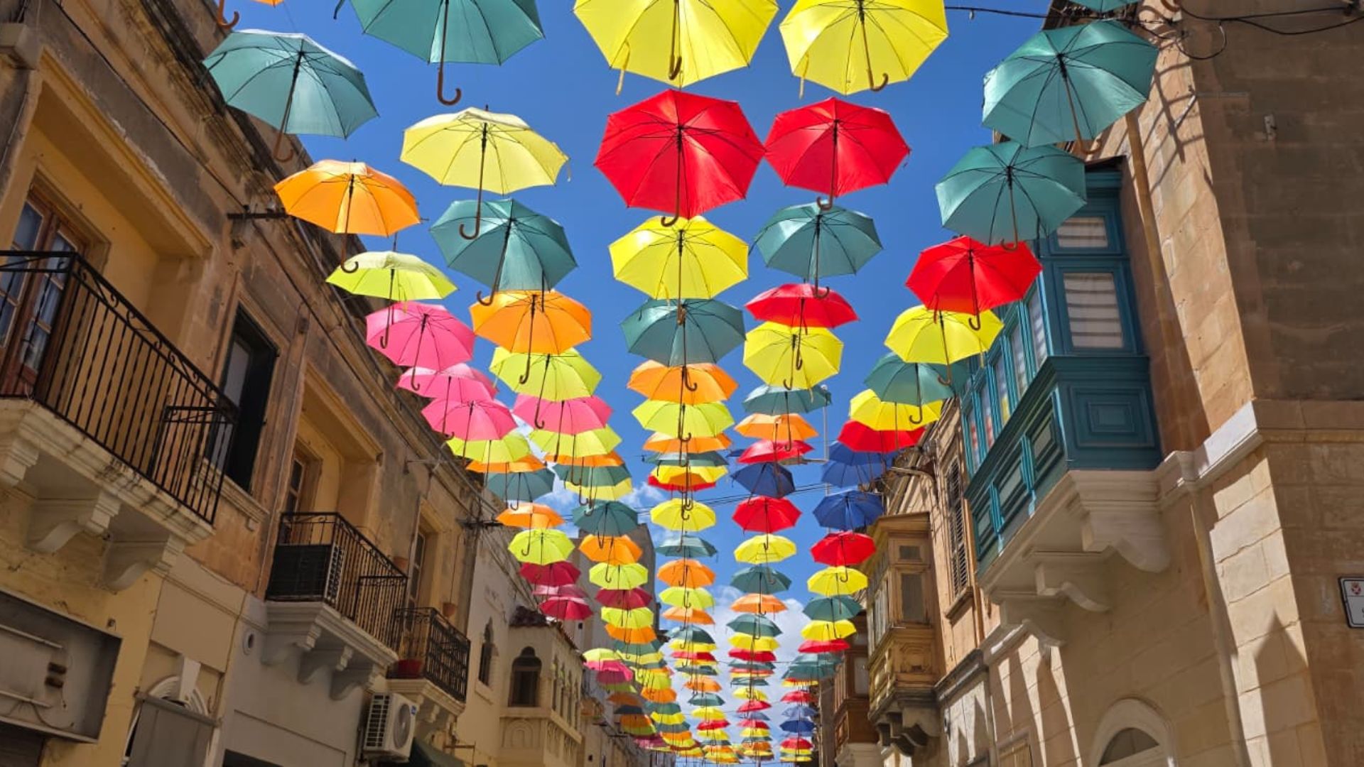 Triq prinċipali f'Ħaż-Żabbar imżewqa b'umbrellel ta' lwien differenti ...